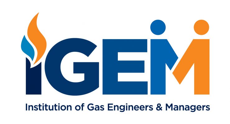 IGEM support for engineers of the future